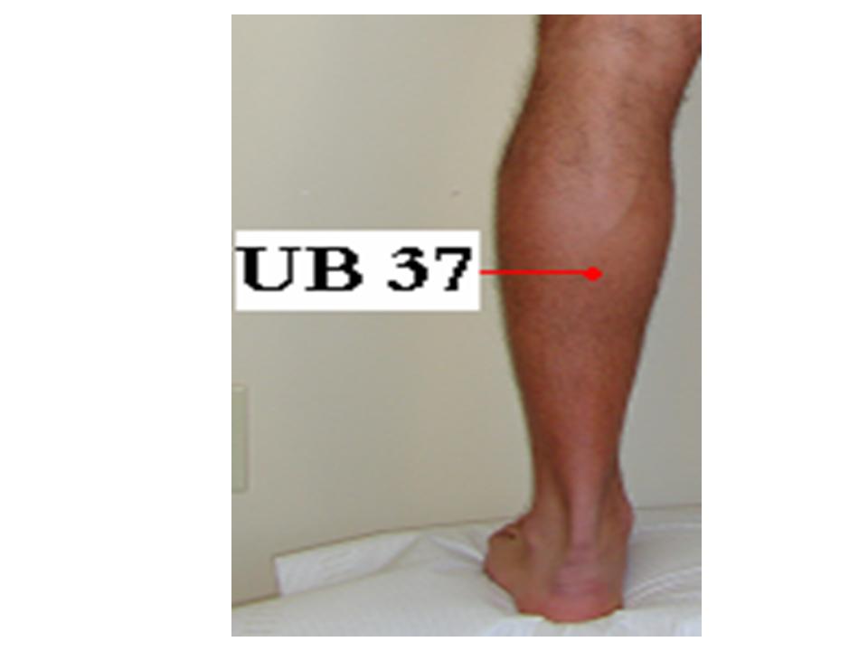 17. Acupuncture and Frozen Shoulder-Shoulder Pain 1 | Jun Xu, M.D. R.M ...